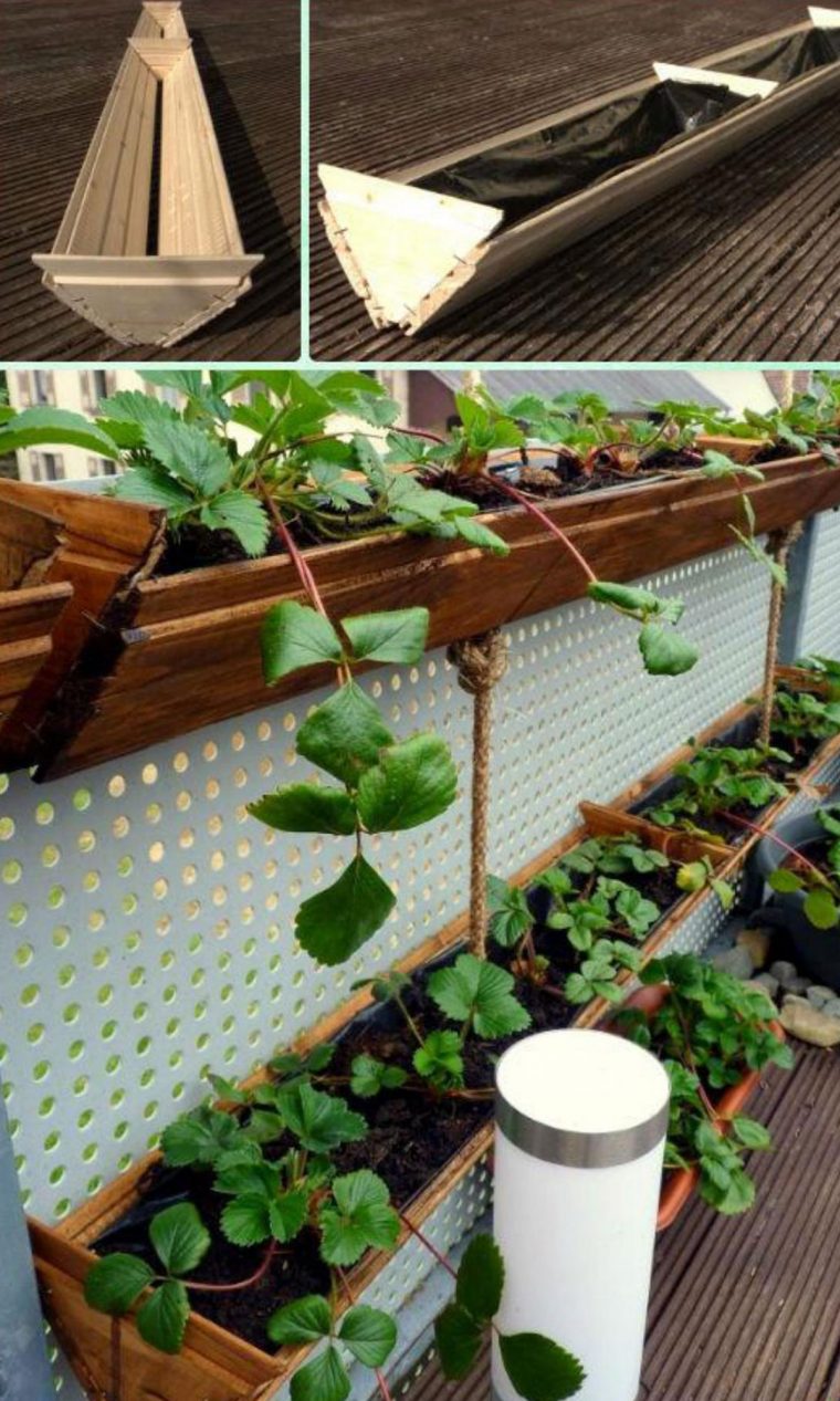 9 formas diferentes de cultivar morangos em sua casa!