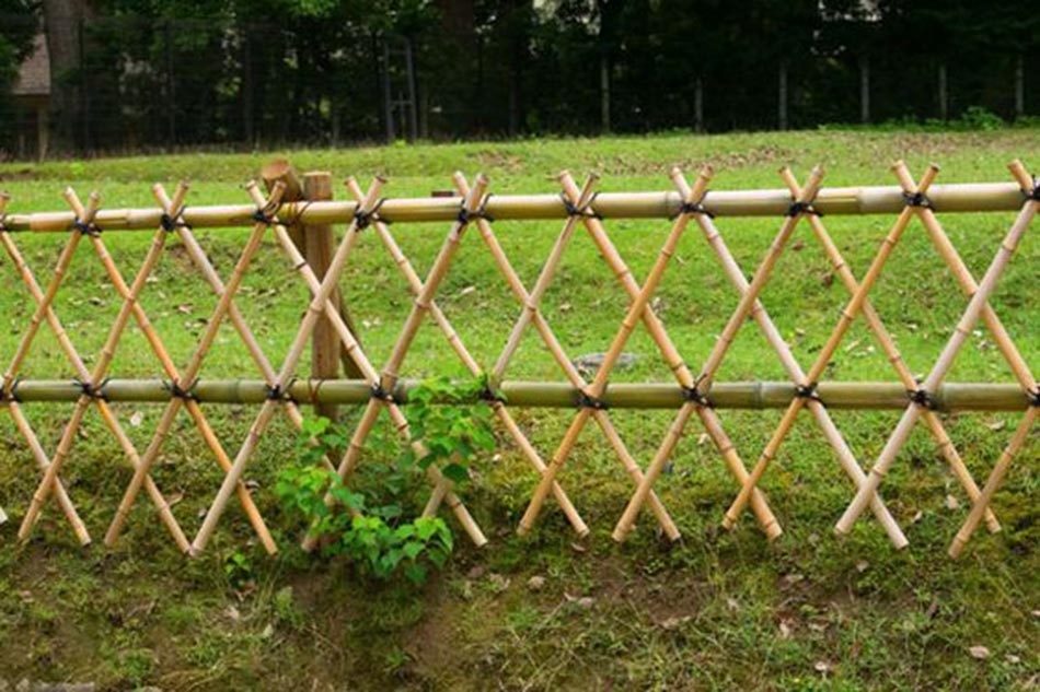 Ideias para criar bonitas cercas de bambu para o seu jardim